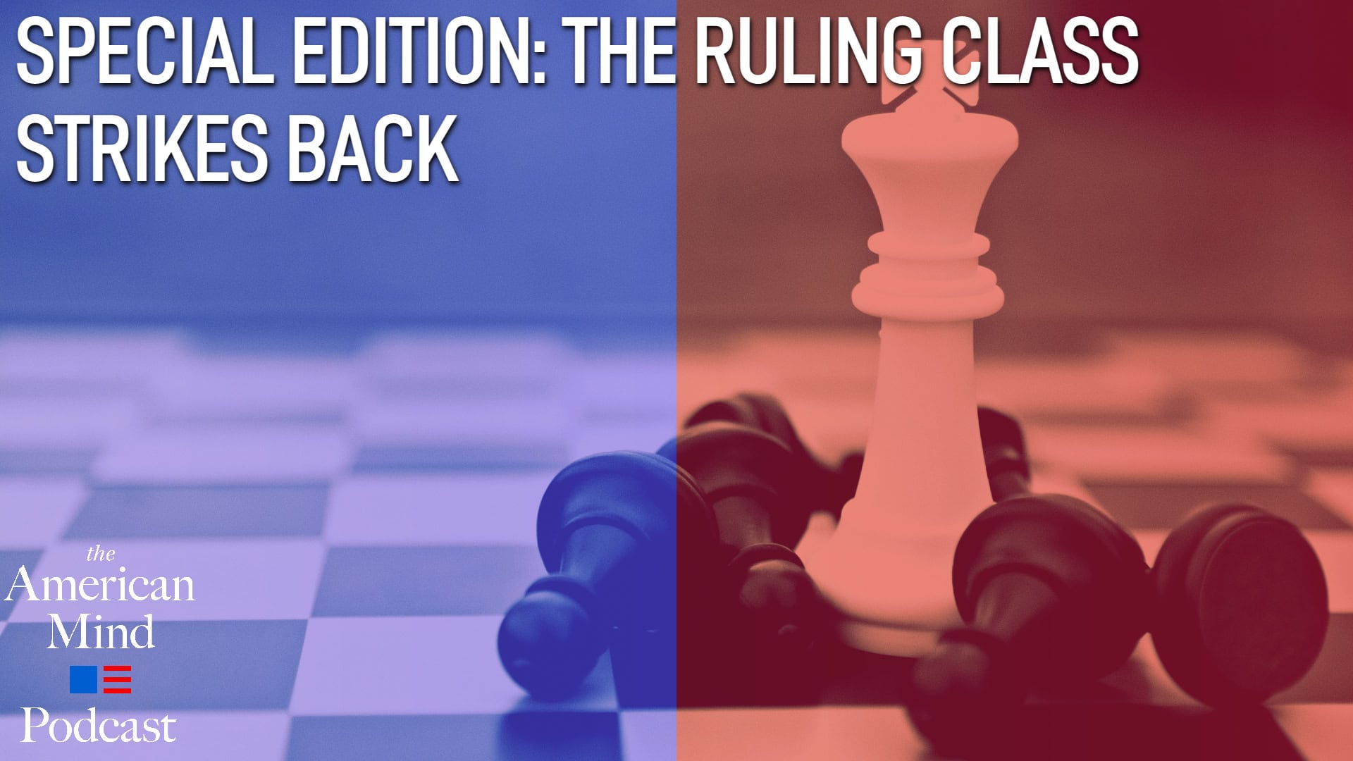 The Ruling Class Strikes Back: A Special Edition of the American Mind ...